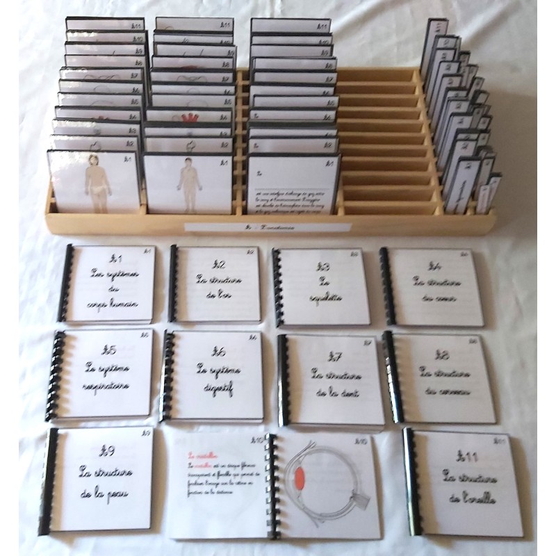 Nomenclature d'anatomie