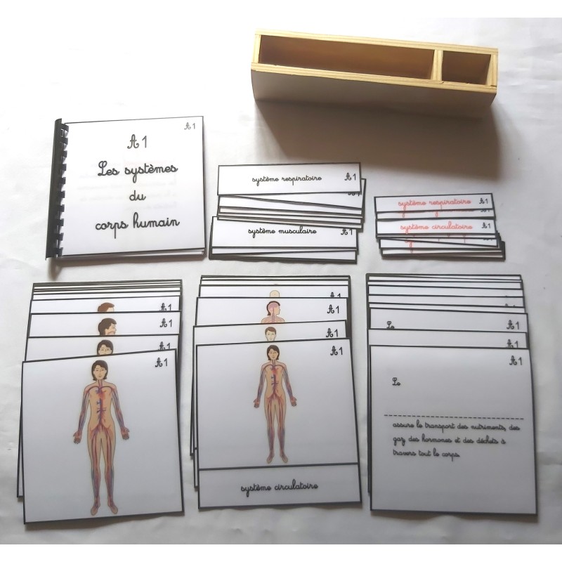 Nomenclature d'anatomie - Les systèmes du corps humain