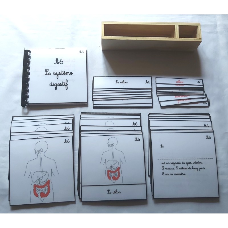 Nomenclature d'anatomie - Le système digestif