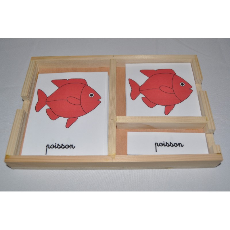 Nomenclatures des parties du poisson - mapetitefabriquemontessori
