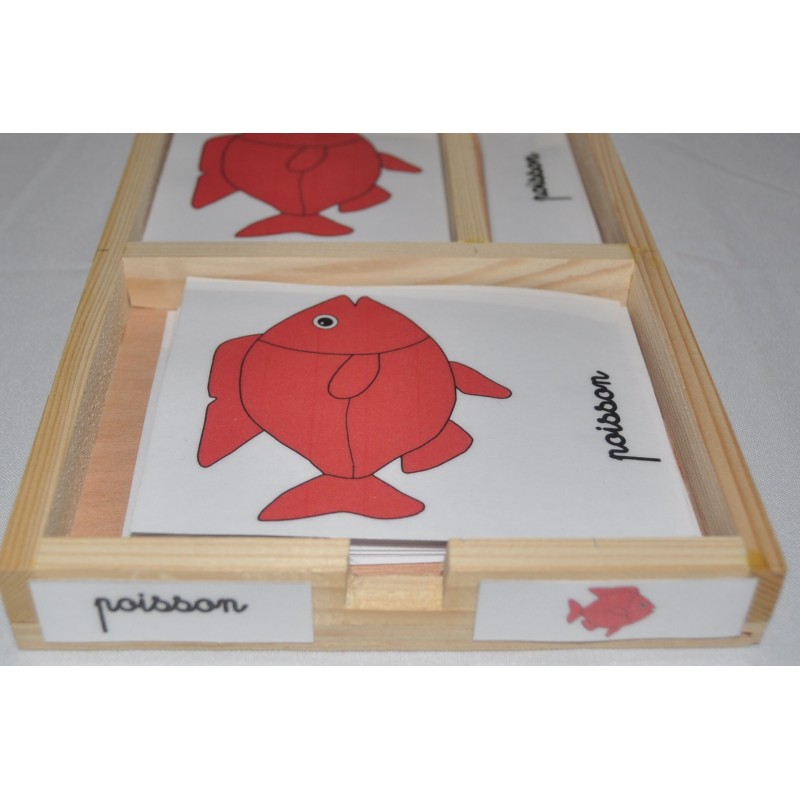 Nomenclatures des parties du poisson