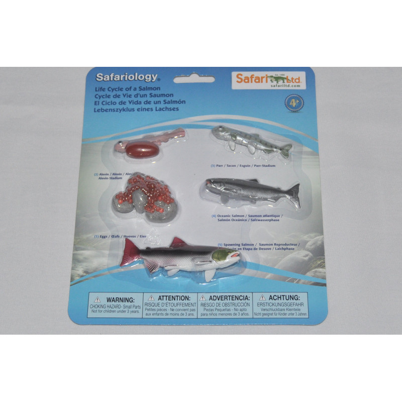 Cycle de vie du saumon - mapetitefabriquemontessori