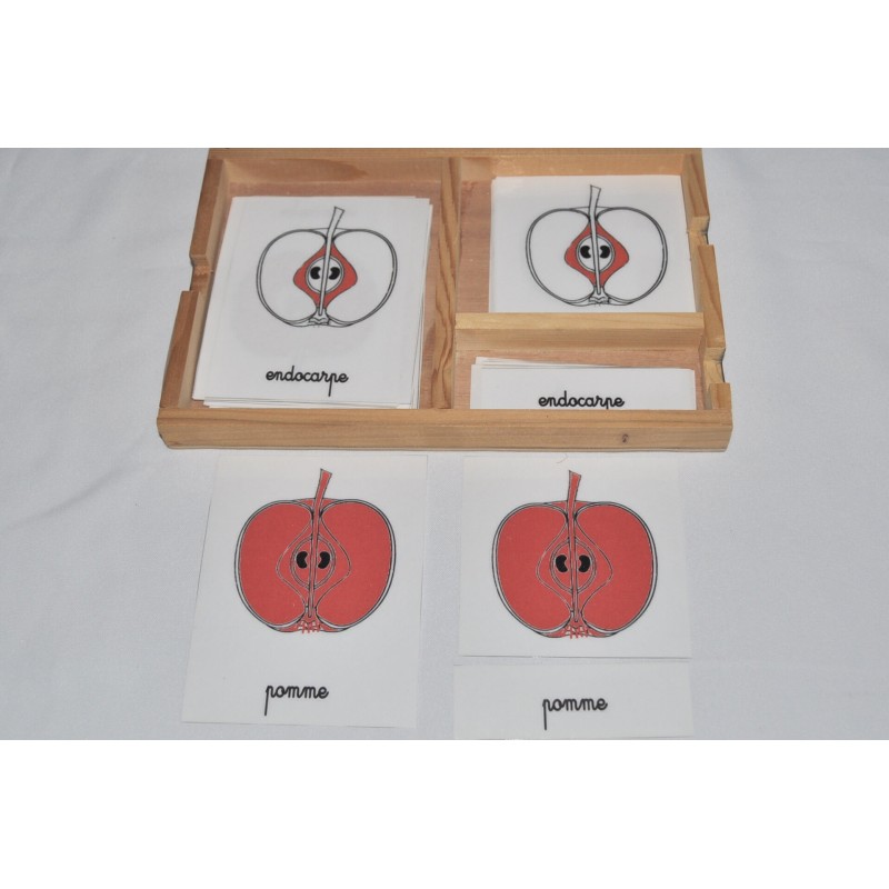 Cartes de nomenclatures la pomme en 3 parties