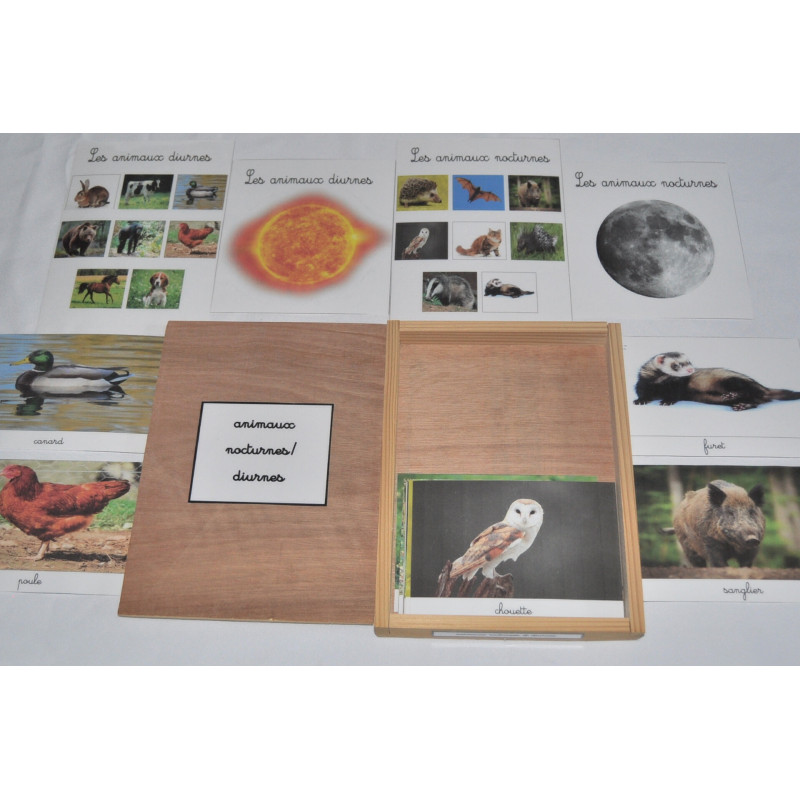 Les animaux nocturnes / diurnes - mapetitefabriquemontessori