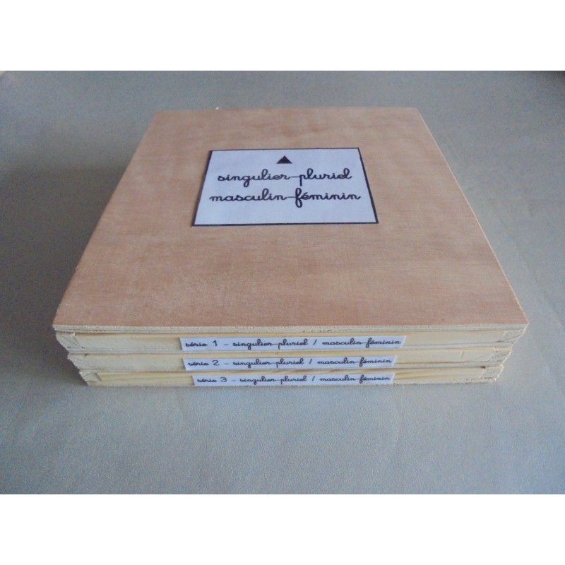 Masculin-féminin / singulier -pluriel niveau 2 - mapetitefabriquemontessori