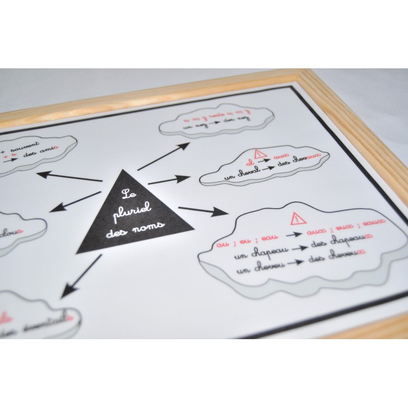 Carte mentale le pluriel des noms et des adjectifs