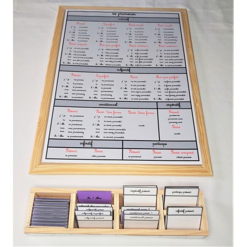 Conjugaison à tous les temps - verbe se promener