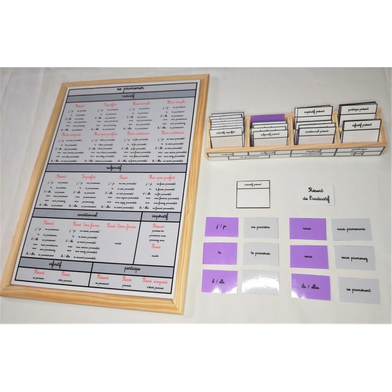 Conjugaison à tous les temps - verbe se promener