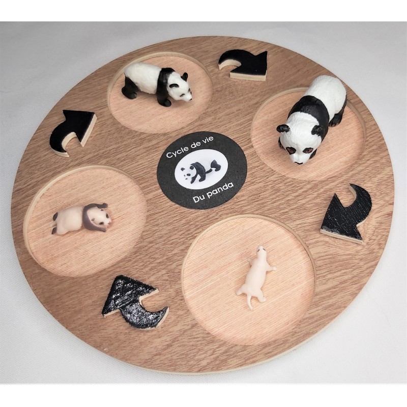 Cycle de vie du panda - plateau + figurines