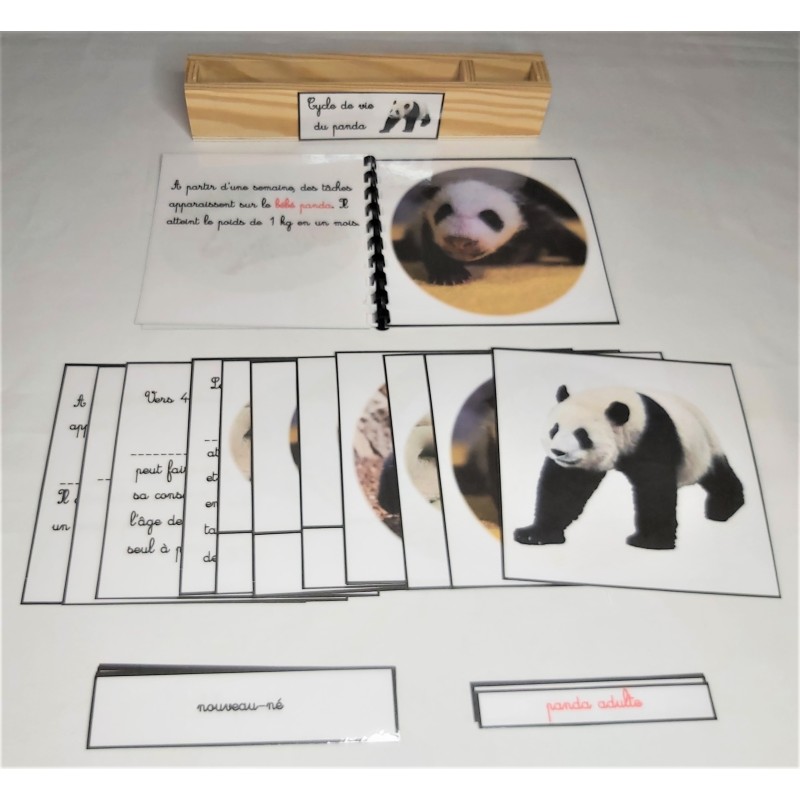 Nomenclature du cycle de vie du panda