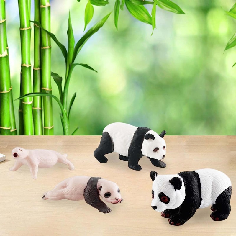 Cycle de vie du panda