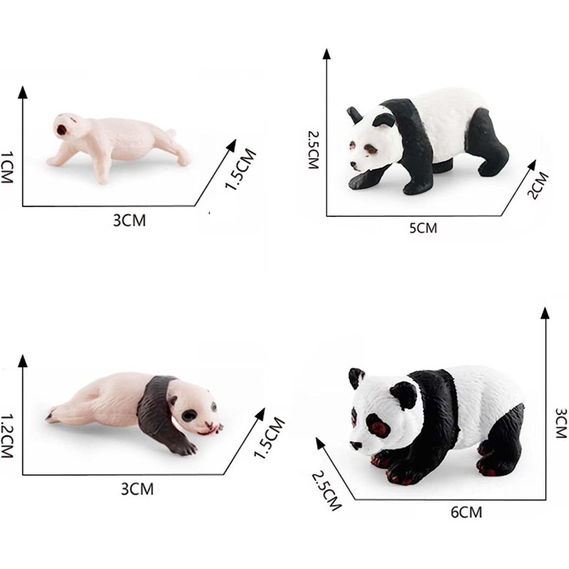 Cycle de vie du panda